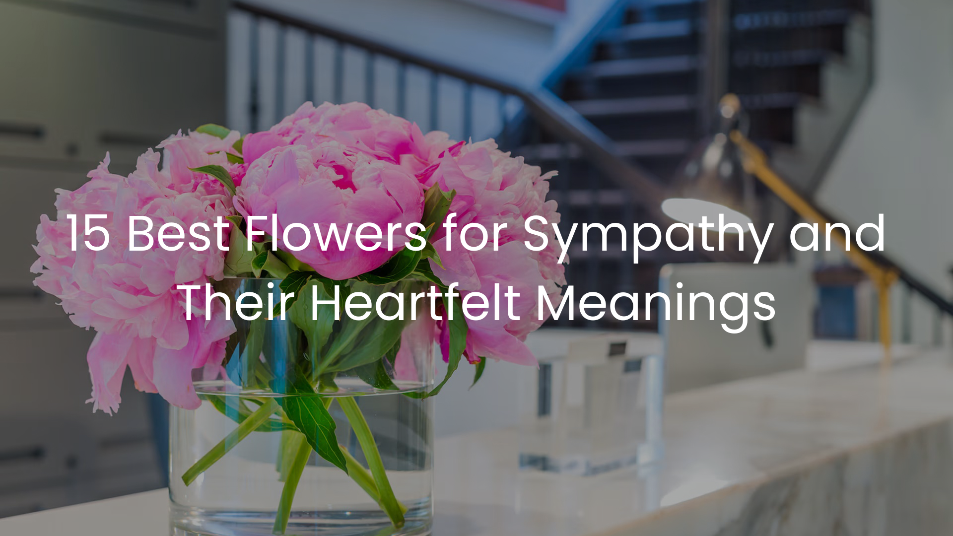 15 Best Flowers for Sympathy and Their Heartfelt Meanings – Ottawa ...