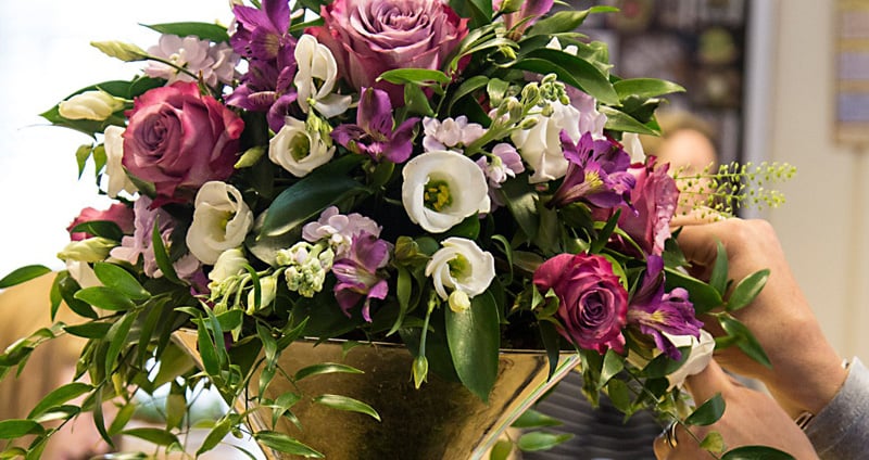 Care and Maintenance – Ottawa Flowers Inc.