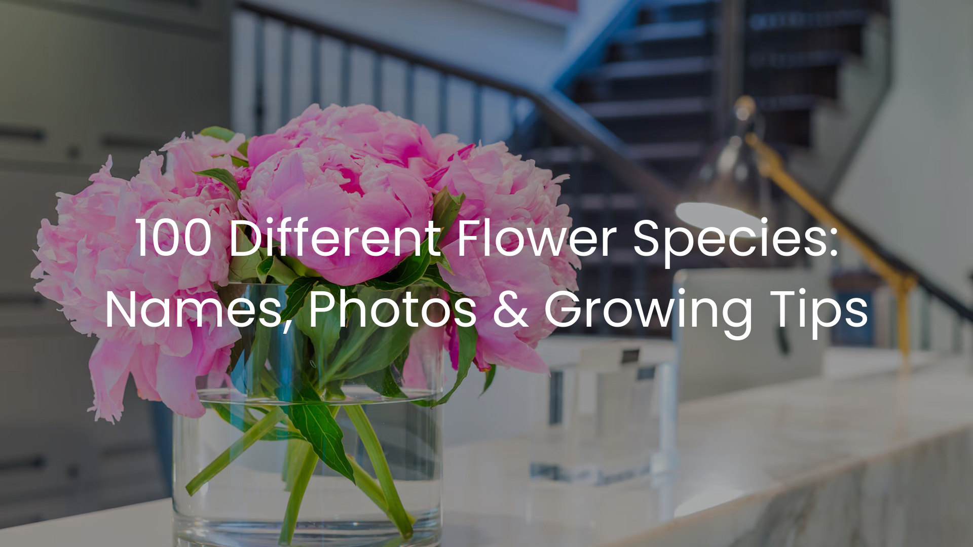 100 Different Flower Species: Names, Photos & Growing Tips – Ottawa ...