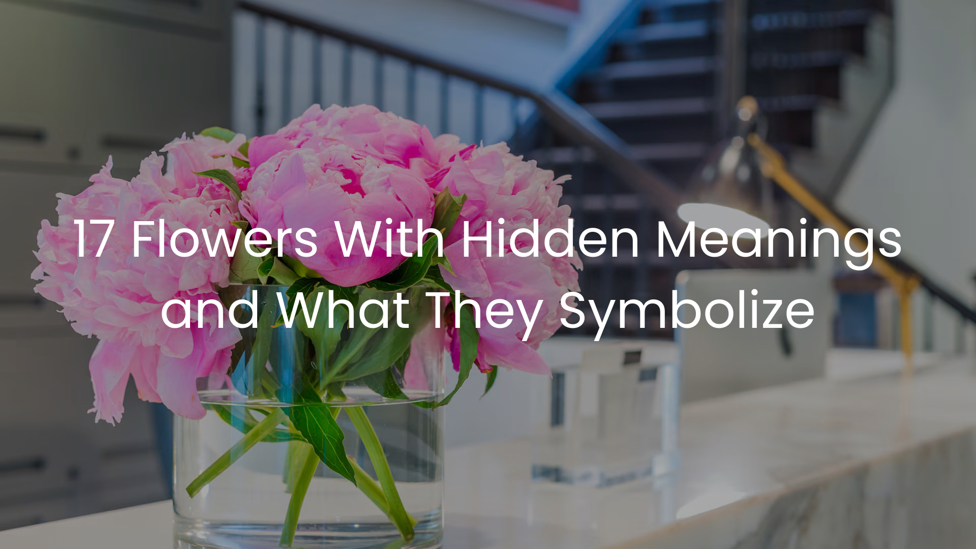 17 Flowers With Hidden Meanings and What They Symbolize – Ottawa ...