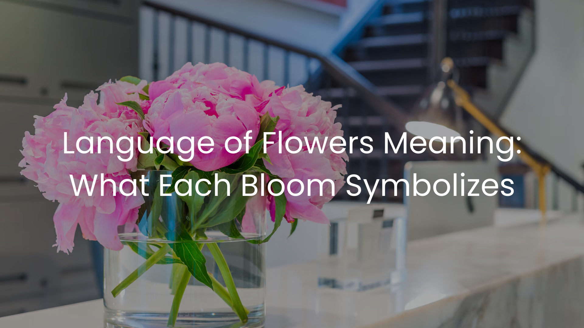 Language of Flowers Meaning: What Each Bloom Symbolizes – Ottawa ...
