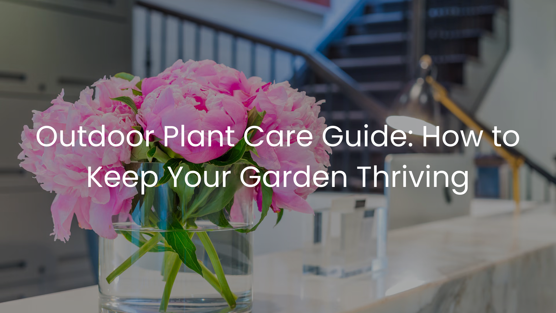 Outdoor Plant Care Guide: How to Keep Your Garden Thriving – Ottawa ...