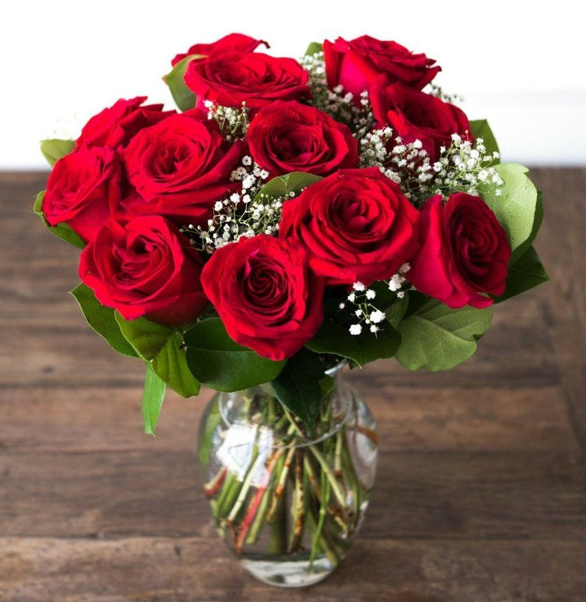 12 RED ROSES – Ottawa Flowers Inc.