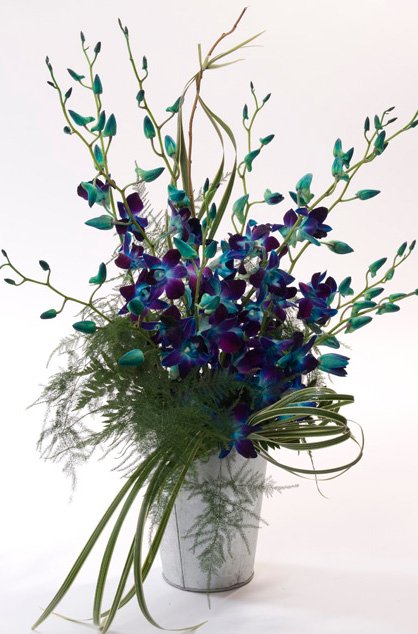 Orchid Tower – Ottawa Flowers Inc.