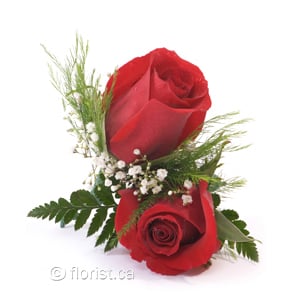 Well Orchestrated – Ottawa Flowers Inc.
