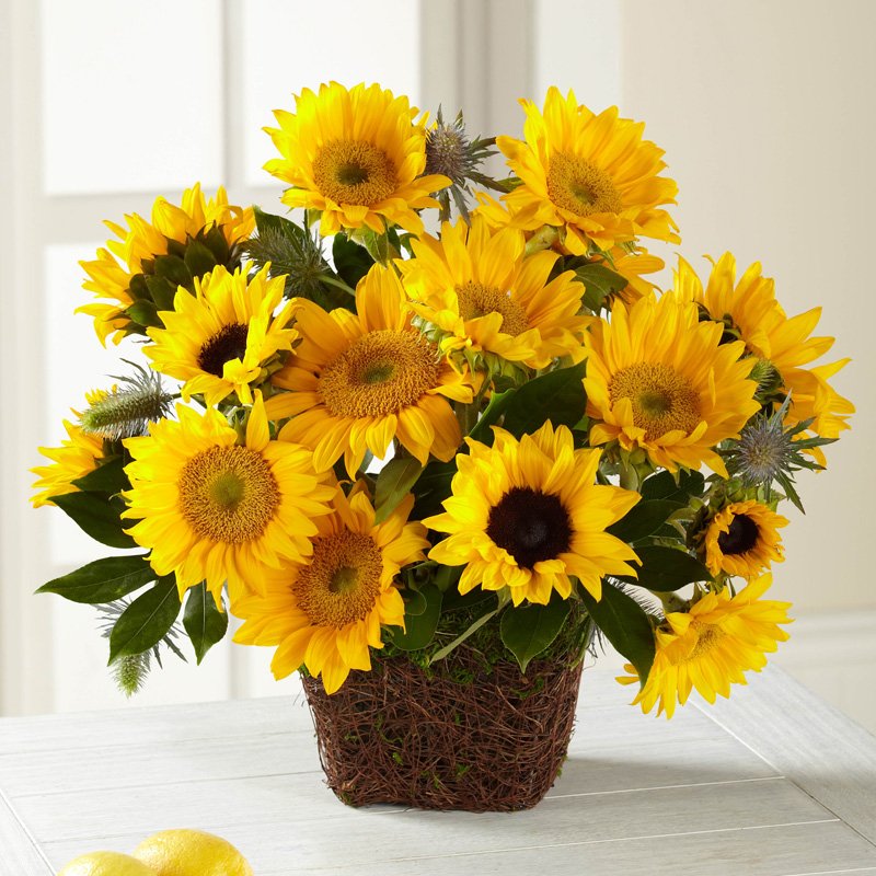 Perfect Sun Bouquet – Ottawa Flowers Inc.