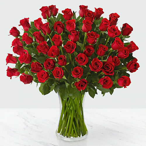 60 Long Stemmed Red Roses in a Vase – Ottawa Flowers Inc.