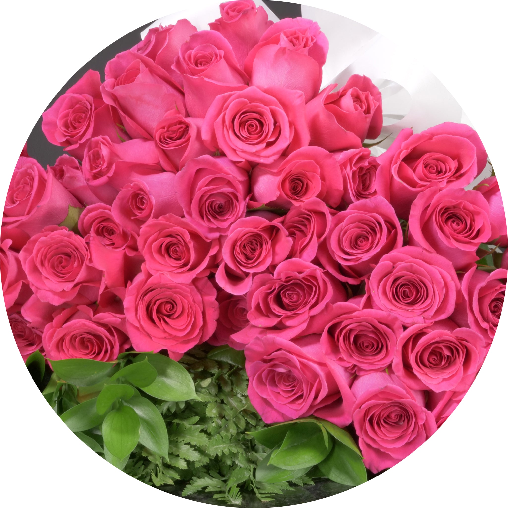 Hot Pink Roses – Ottawa Flowers Inc.