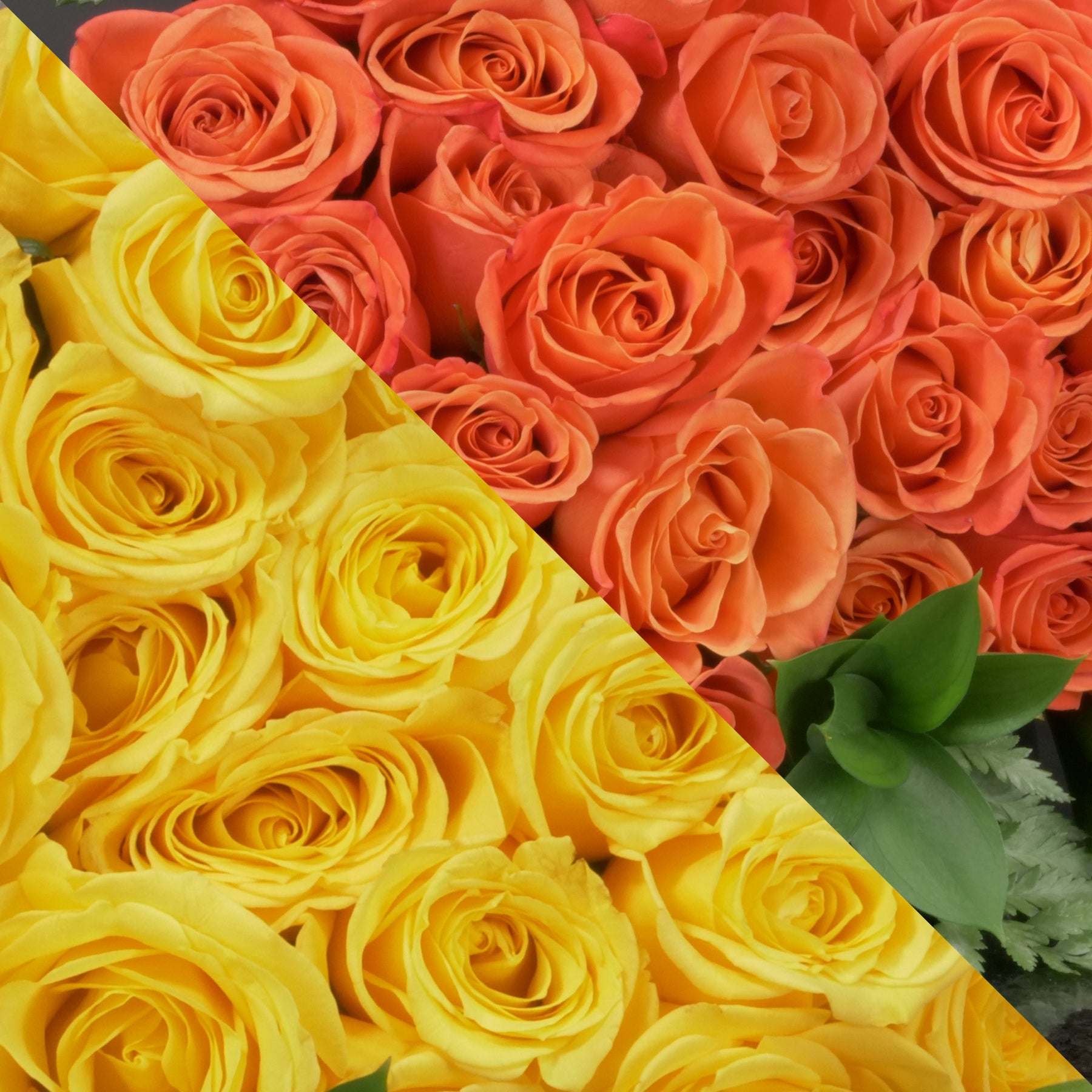 Yellow & Orange Roses – Ottawa Flowers Inc.