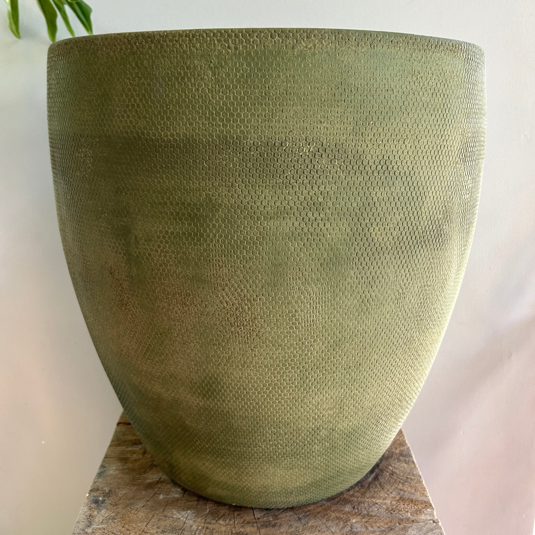Large Textured Green Ceramic Pot 12in – Ottawa Flowers Inc.