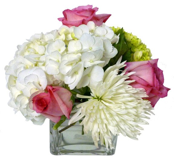 V-The Purity Arrangement – Ottawa Flowers Inc.