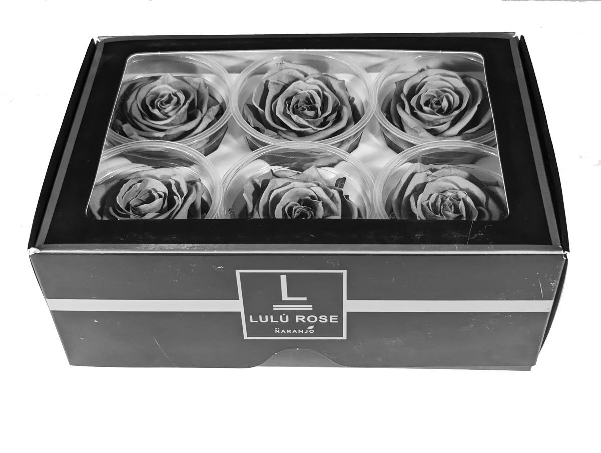 Orange Eternal Roses – Ottawa Flowers Inc.