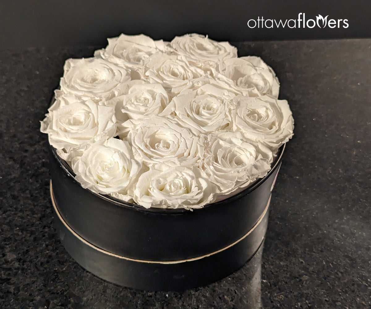 Medium White Eternal Roses in a Luxury Box – Ottawa Flowers Inc.